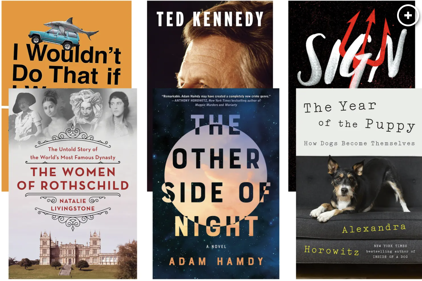The best new books to read: Top releases, updated weekly - The New York ...